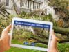 Liability for Trees on Property Lines | Who is Responsible?